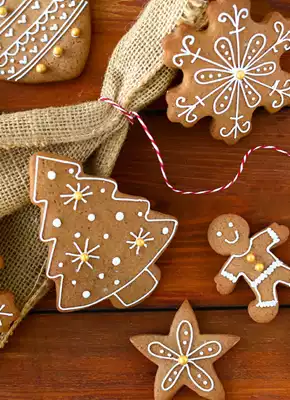 Lebkuchen Biscuits Recipe | Dr. Oetker